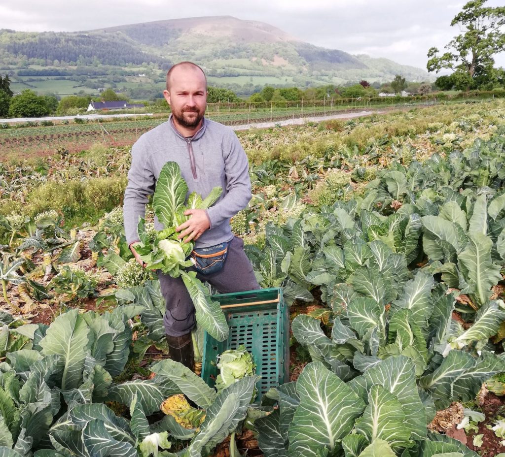Eat Out to Help Out in Wales - food & drink businesses campaign for ...