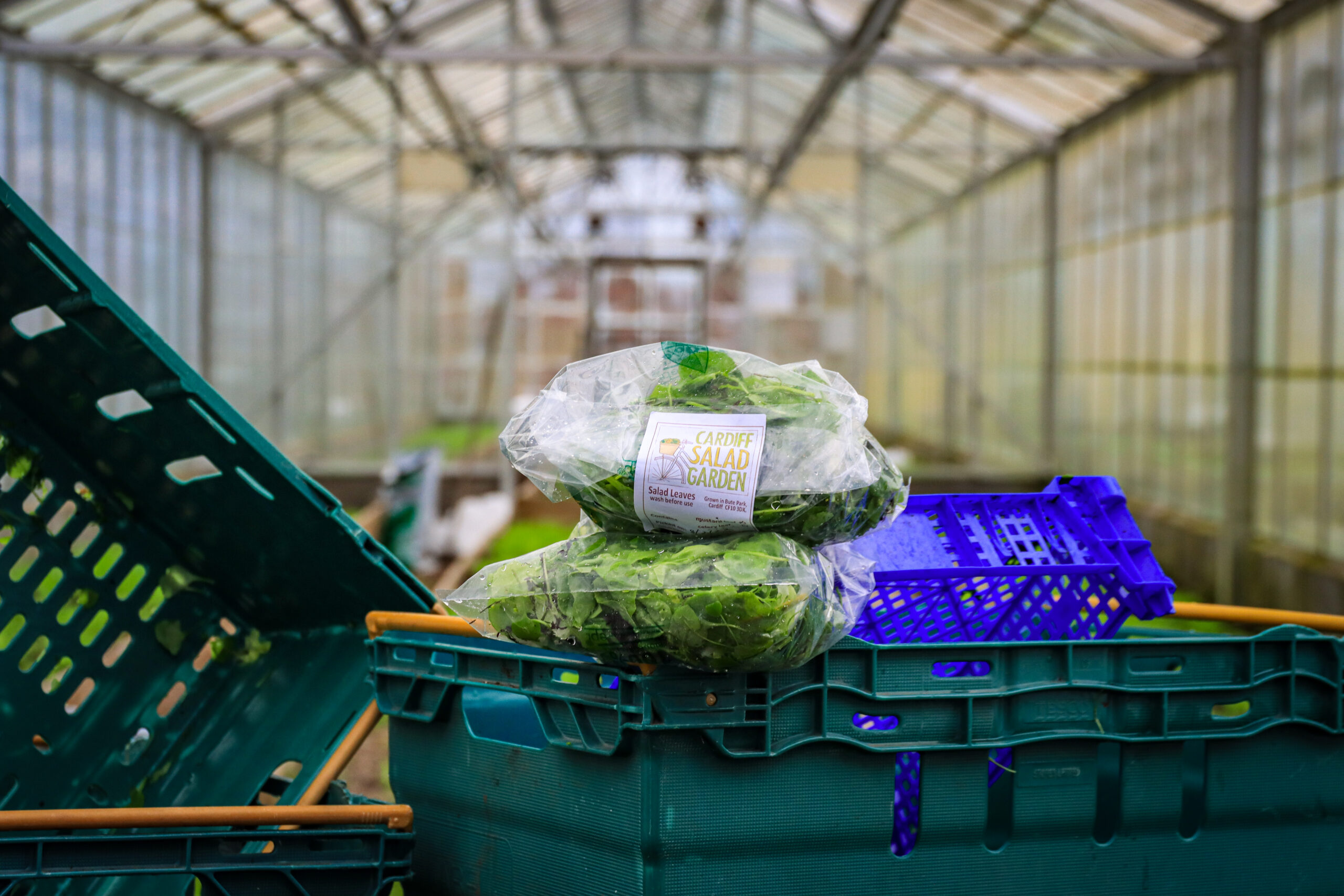 Source locally and shorten supply chains - Food Cardiff