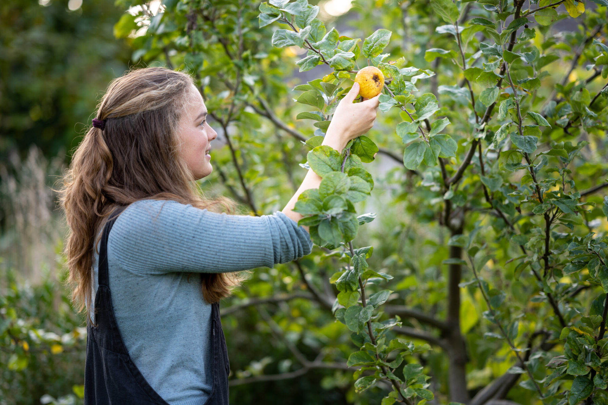 Third Annual Good Food Cardiff Autumn Festival to showcase community ...
